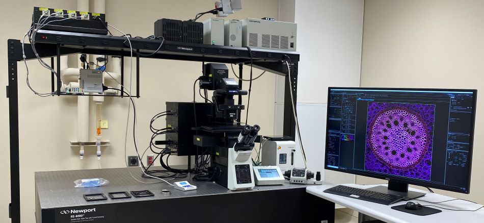 Integrated Microscopy and Imaging Laboratory Core Equipments